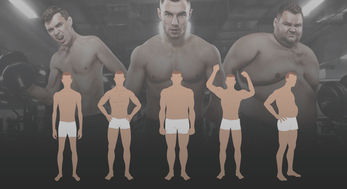 Does Body Type Matter for Building Muscle? – Military Mental Endurance